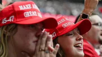 Trump voter decries president's 'slap in the face' with bid to oust ...