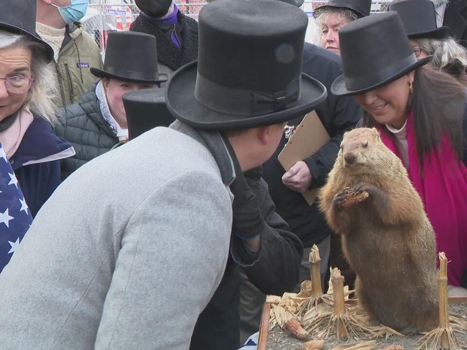 Punxsutawney Phil isn't the only show in town on Groundhog Day
