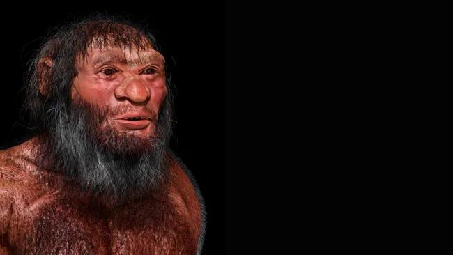 Dragon Man Revealed: Mysterious Ancient Skull Confirmed to Be Denisovan ...
