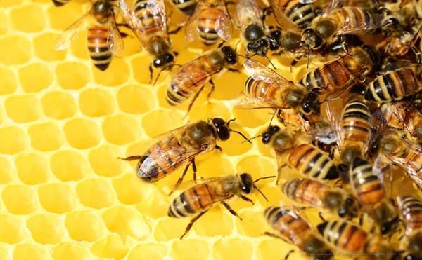 Marathon County Public Library programs, adults - NewsBreak