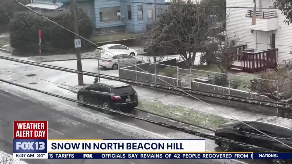 Seattle weather: Snow falling on Seattle area hills - NewsBreak