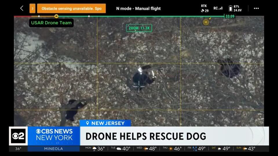 Watch: Runaway dog found by drone rescue team near New Jersey Turnpike ...