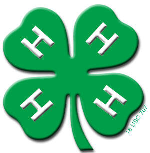 Greene County 4-H announces 2026 summer camps, project workshop ...