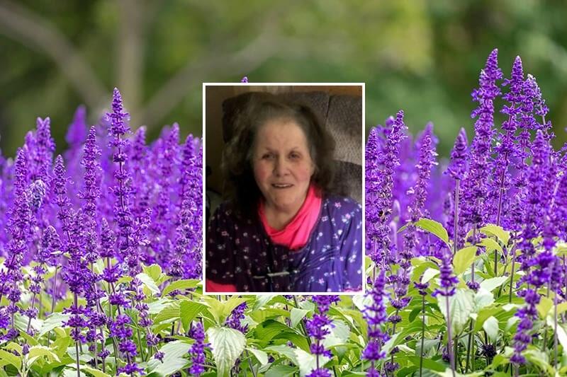 OBITUARY: Marilyn Marie Middleton - NewsBreak