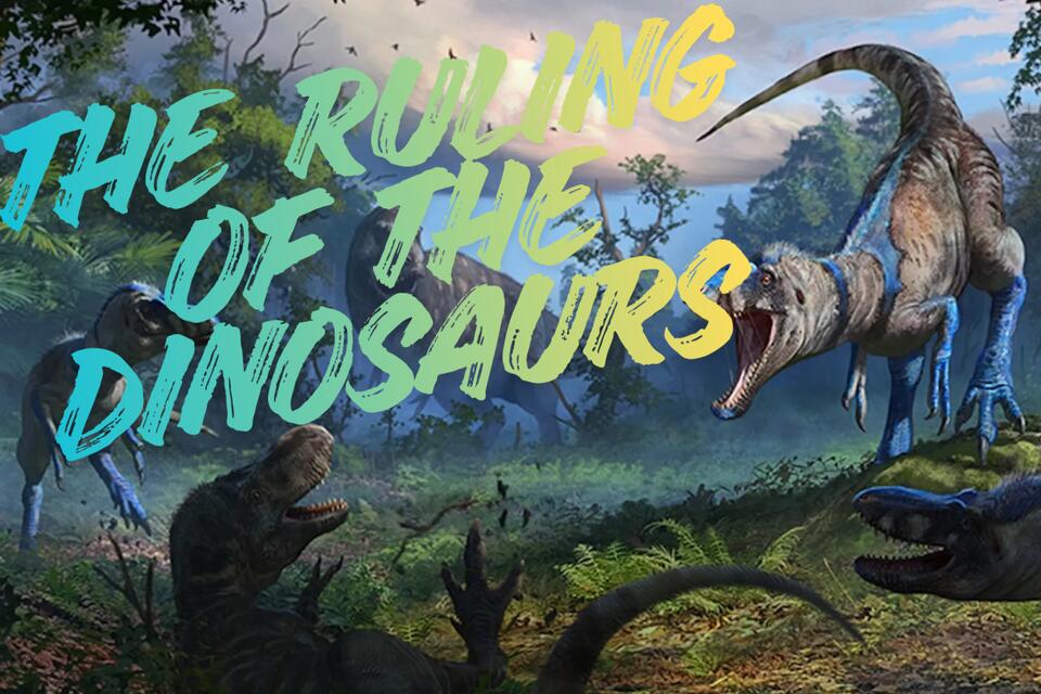 Dinosaur timeline: when they appeared and disappeared - NewsBreak