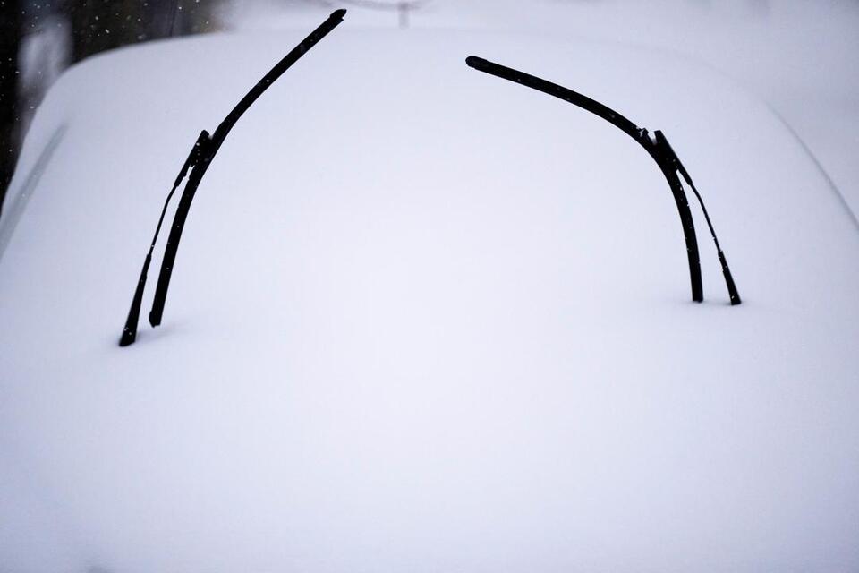 How much snow fell in your area? See latest snowfall totals. - NewsBreak