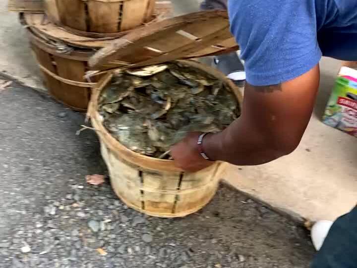 Proper way to pick up crab @ family reunion