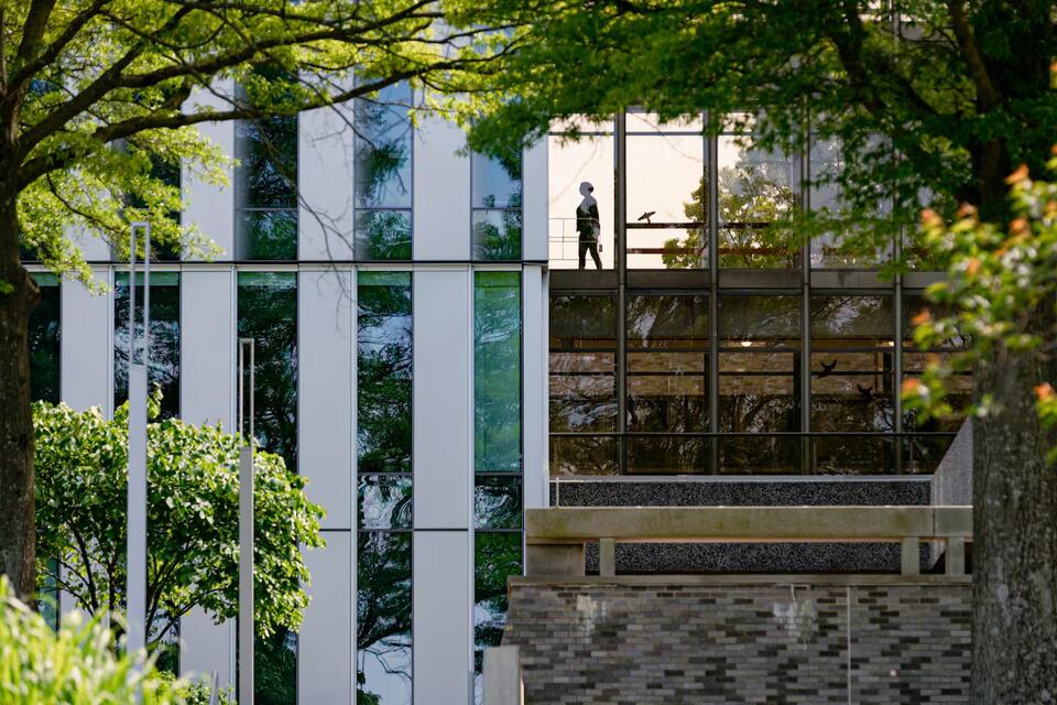 Trump plan said to limit disability benefits for older Americans ...