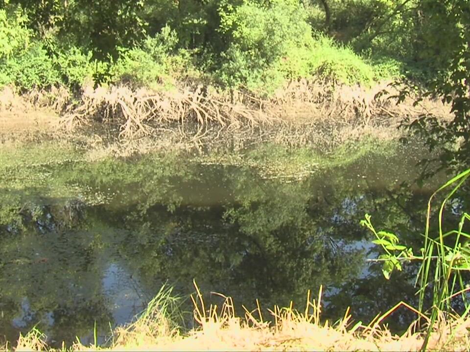 Connecticut horse tests positive for Eastern Equine Encephalitis for ...