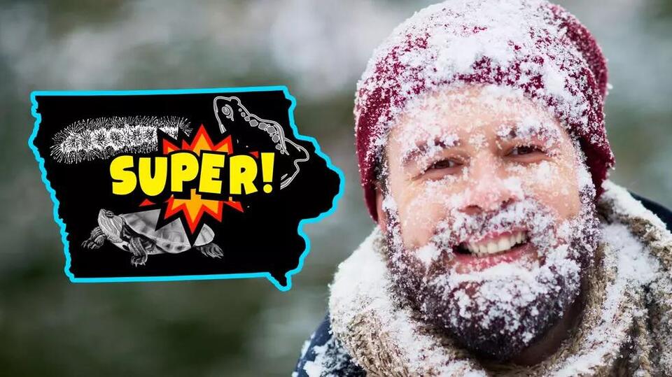 Iowa is Home to Three Animals That Survive Being Frozen Alive - NewsBreak