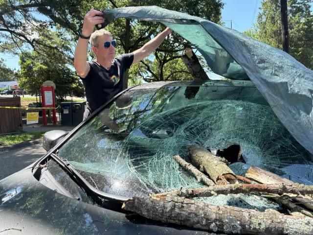 Tree branch crashes through car at Raleigh park; city to remove tree in ...
