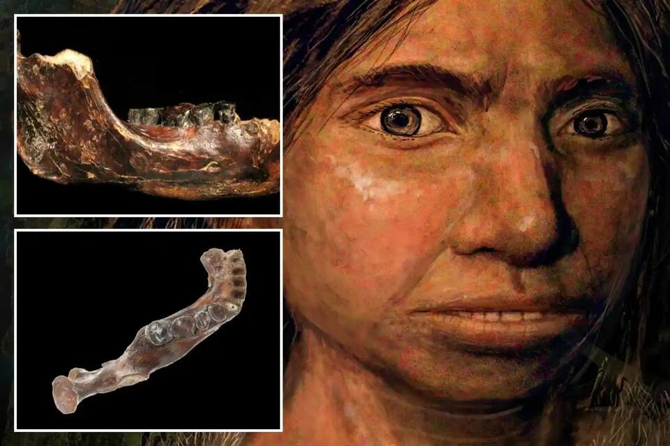 Jaw of lost human cousin that’s NOT Neanderthal found at bottom of sea ...