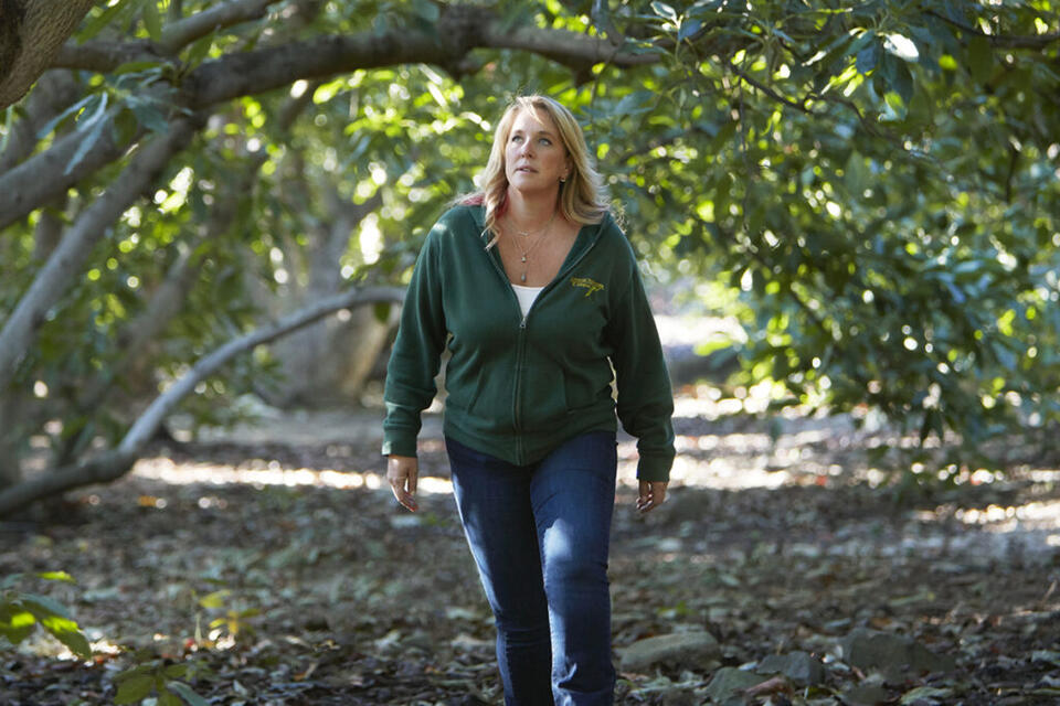 Chairwoman to lead California Avocado Commission board for the first ...