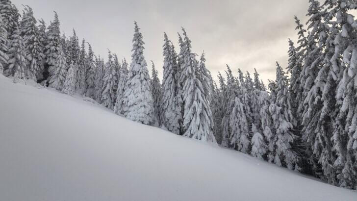 The Deepest Snowfall Ever Recorded in the US - NewsBreak
