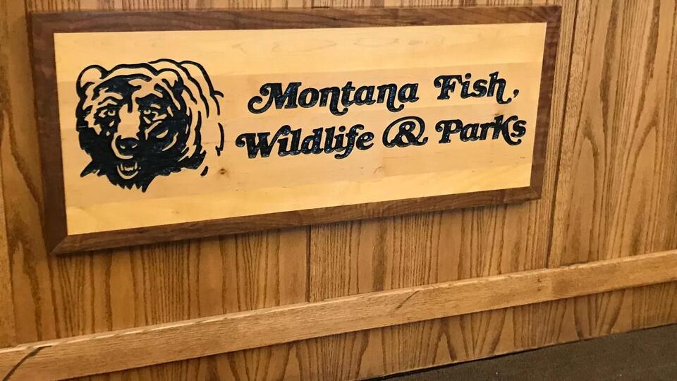 Shed-hunter kills bear in Wolf Creek, cub captured - NewsBreak