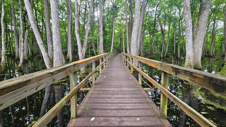 National Parks & Outdoor Recreation News for the week of January 18-24 ...