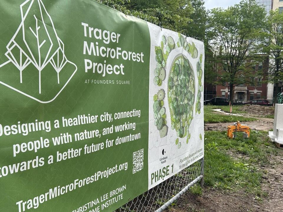 MicroForest project to bring more green space to downtown Louisville