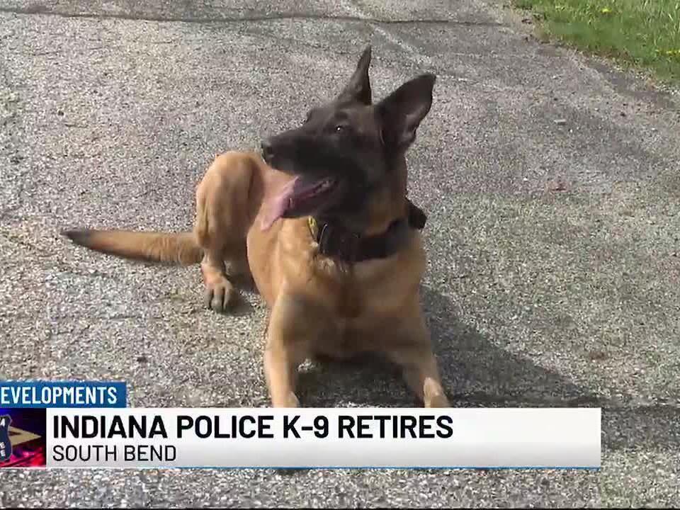 Indiana State Police K-9 settling into retirement