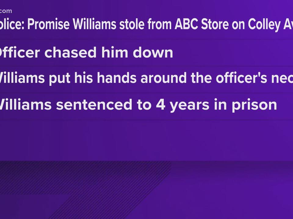 Man gets over 4 years in prison for choking Norfolk police officer ...