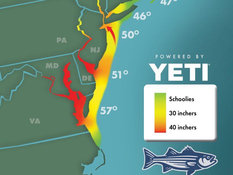 Striper Migration Map – April 19, 2024 Striper Migration Map – April 19, 2024