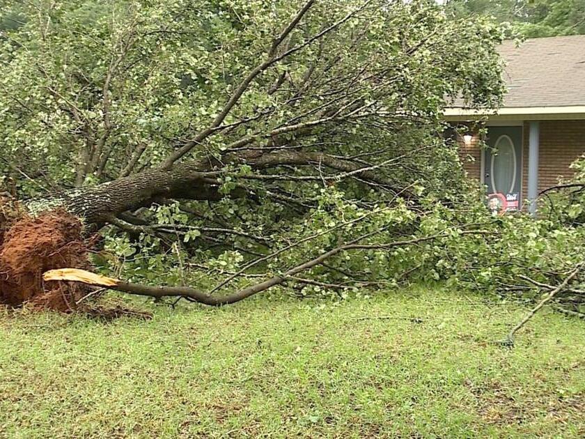 NWS confirms three tornadoes in north Mississippi, Alabama NWS confirms three tornadoes in north Mississippi, Alabama