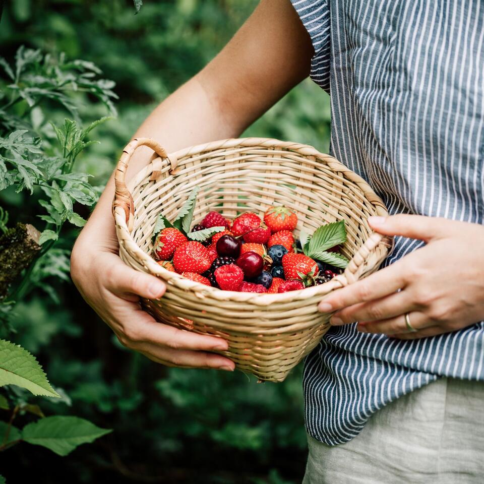 6 Best Types of Berries to Grow in Your Backyard for Plump and ...