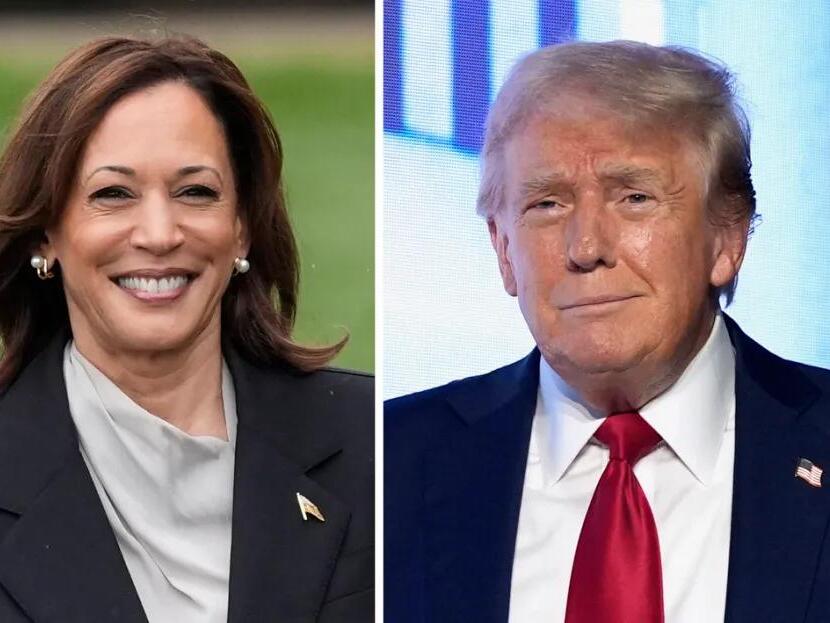 Harris polling better than Trump ‘across the board’: DDHQ president