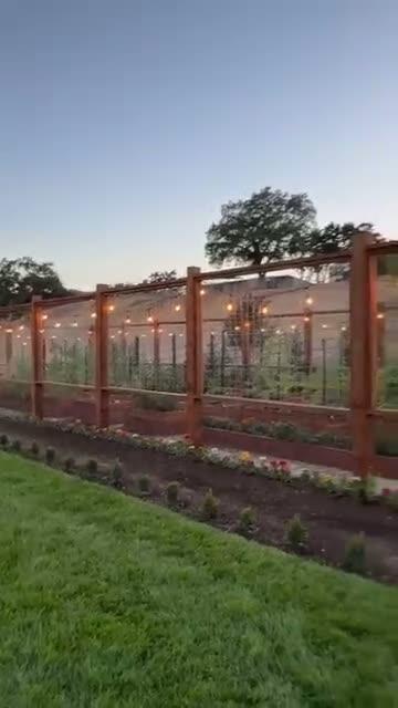 As requested, here is my unexpectedly viral garden, with no text in the ...