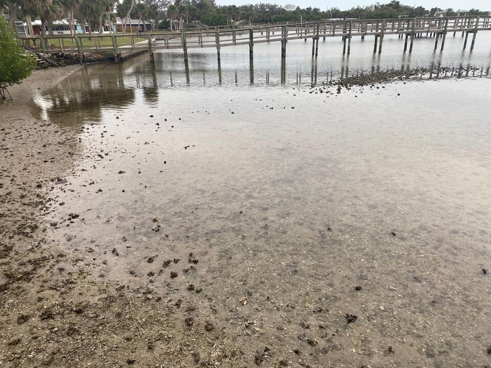 Expected Windy Rainy Weather Cancels Events Newsbreak