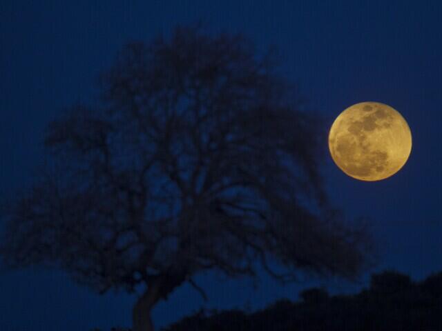 Your pictures of the rare super blue moon - NewsBreak