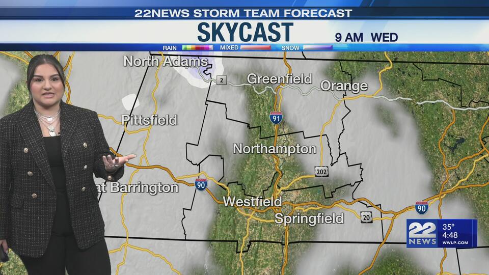 Wind Advisory issued for parts of western Massachusetts - NewsBreak