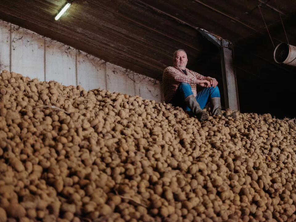 The world capital of french fries has a problem: too many potatoes ...