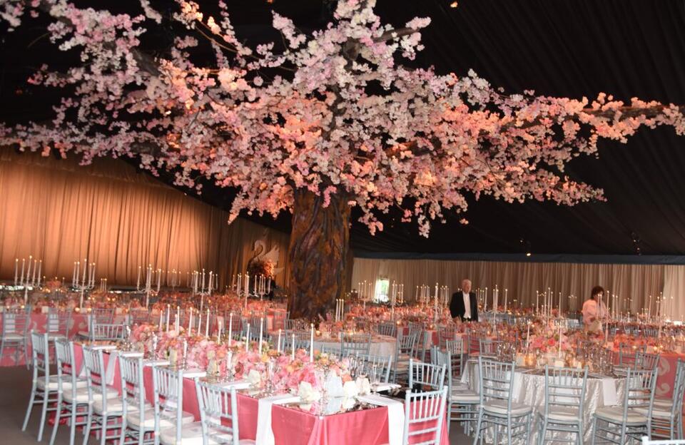 2025 Swan Ball: Cheers and cherry blossoms - NewsBreak