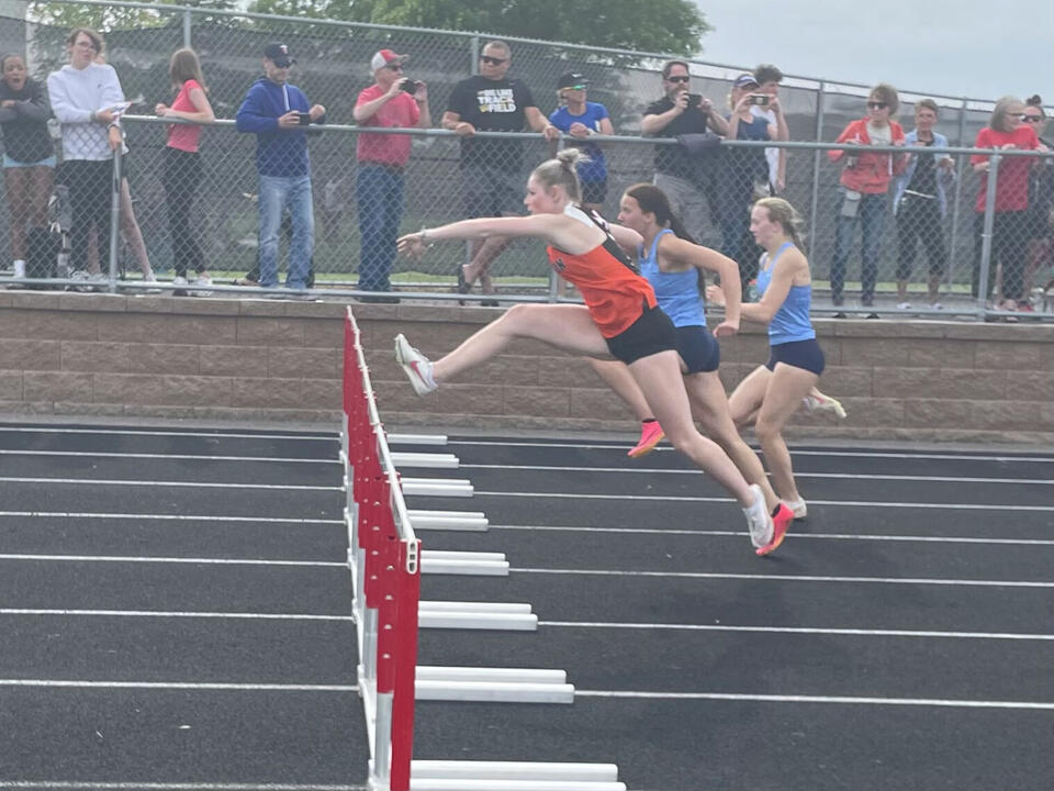 Tigers track and field to be well-represented at state meet