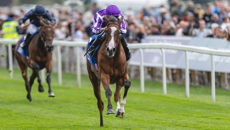 Everything You Need to Know About the 2025 Breeders' Cup International ...