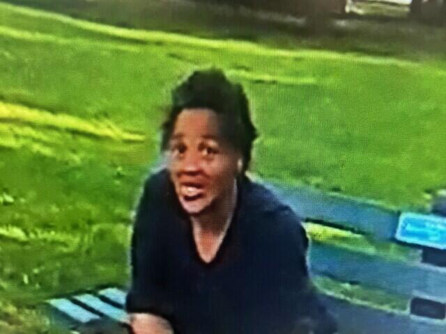 Allen Park police asking for public's help in searching for missing woman