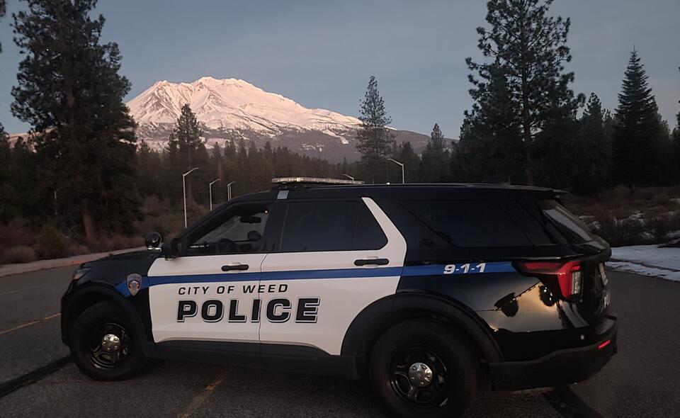 Weed Police report February 2026 activity summary - NewsBreak