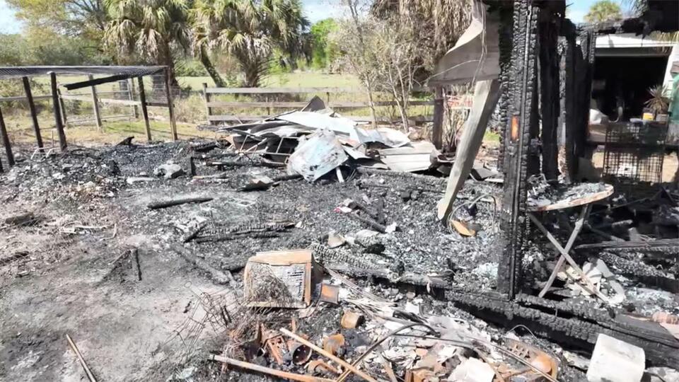 For the Love of Paws cat rescue destroyed by fire in Fellsmere; 11 cats ...