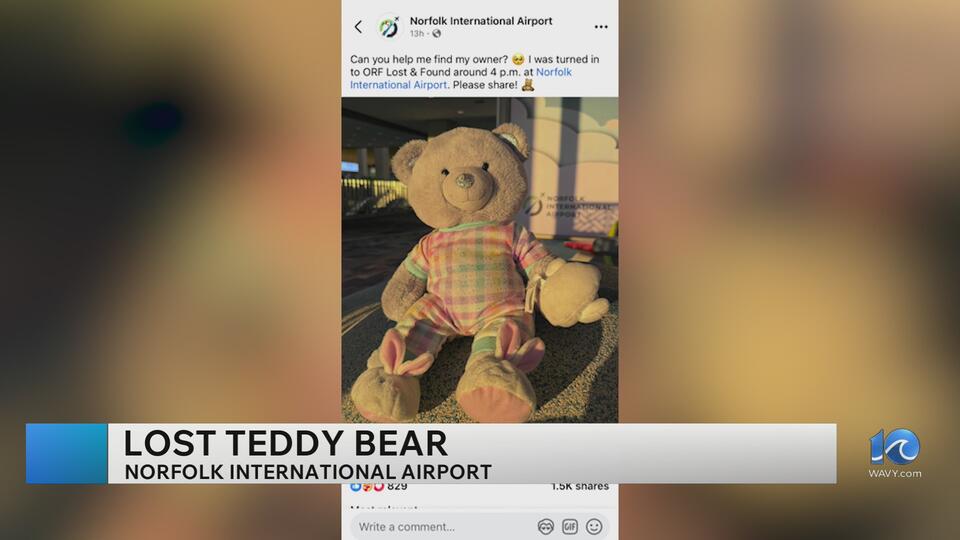 ORF looking for owner of lost teddy bear - NewsBreak