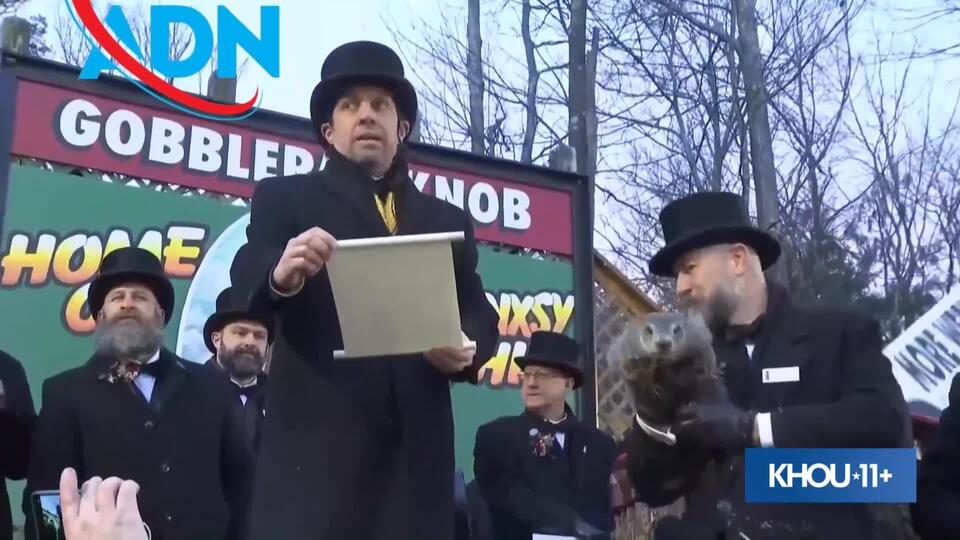 Did Punxsutawney Phil see his shadow? Here's his 2025 prediction ...