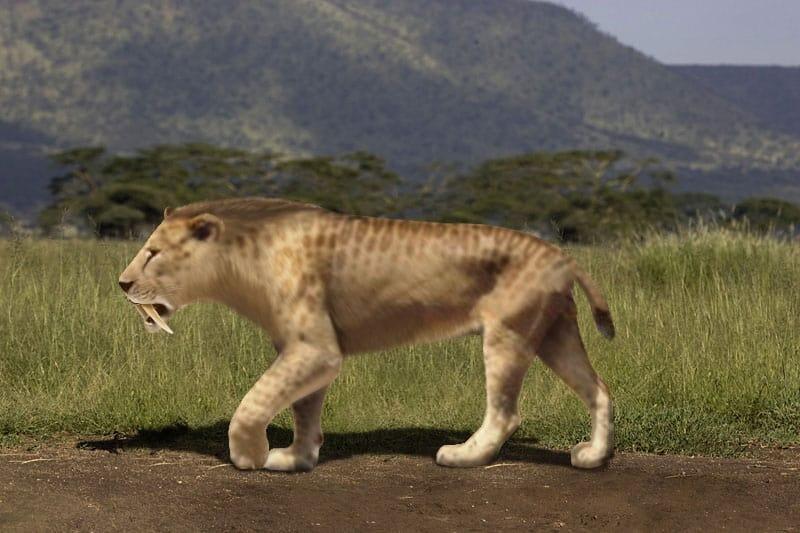 Meet All 12 Animals in the Ice Age Movie - NewsBreak