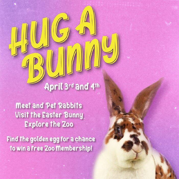 Tickets On Sale Now For The Chattanooga Zoo's Annual Hug A Bunny Event ...
