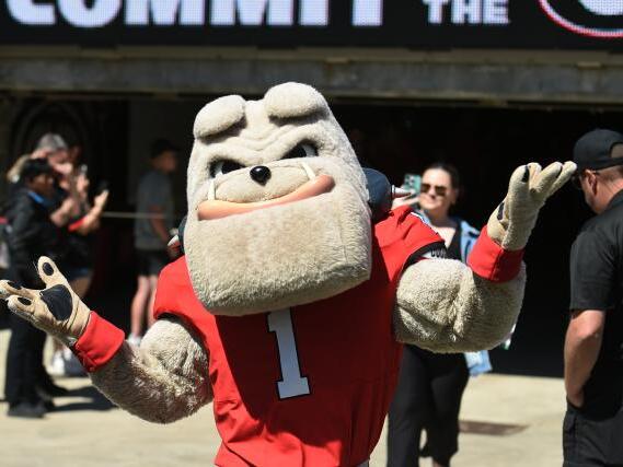 Ranking five best SEC college football mascots: Georgia, Ole Miss ...