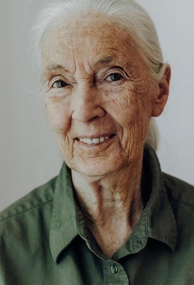 Jane Goodall 1934–2025: Her Enduring Gift to Animals, People, and the ...