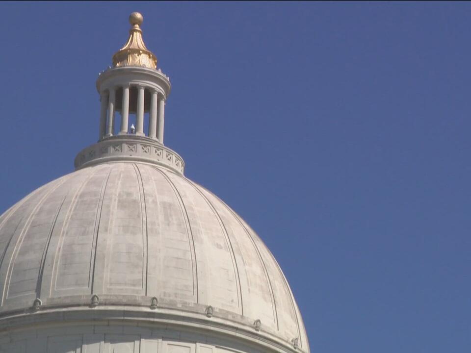 Arkansas Supreme Court orders initial count for abortion amendment