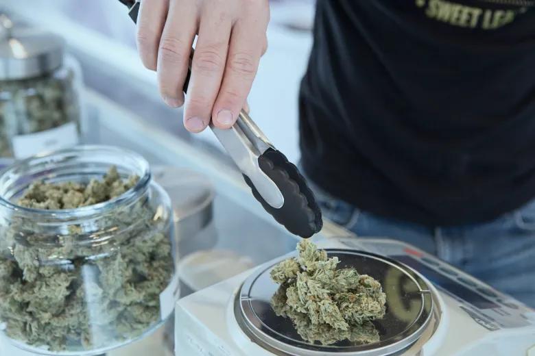 New Montclair Cannabis Dispensary Rocks Planning Board Approval - NewsBreak