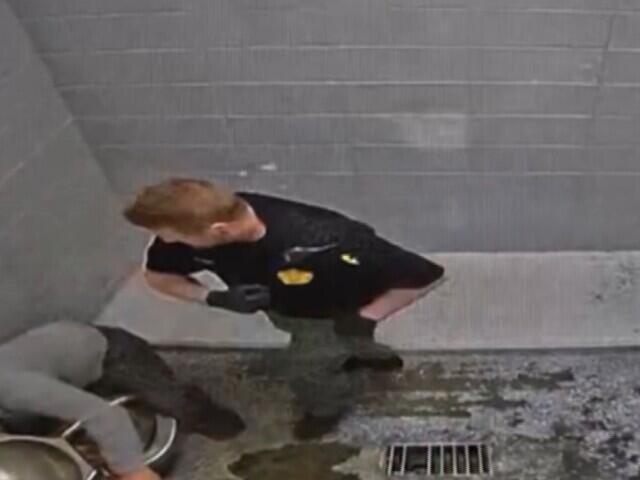 KSP investigating after video shows MCDO jail guard punching inmate in ...