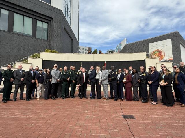 New Task Force launched to combat crimes against children in the Big ...