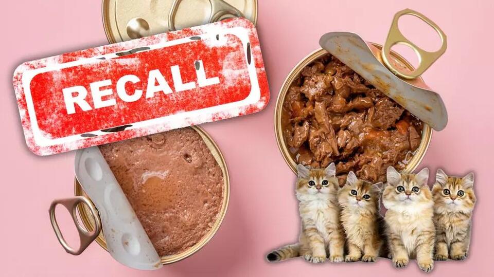 WARNING: Major Pet Food Recall Hitting Michigan - NewsBreak