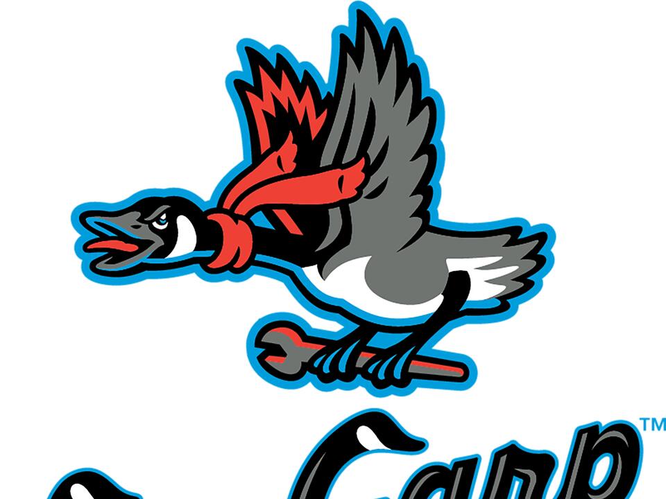 Beloit Sky Carp pounce on Quad Cities pitcher making Midwest League ...